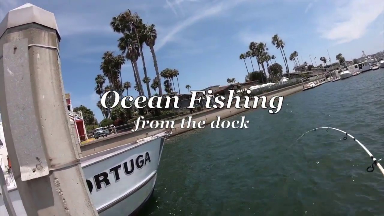 Ocean fishing from the dock - YouTube
