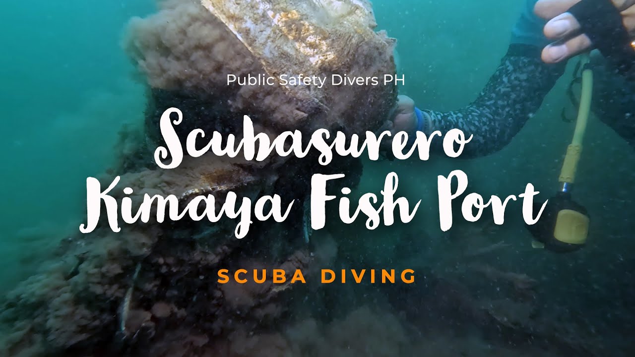 GoPro HERO10 Black I Scubasurero Kimaya Fish Port, Jasaan, Misamis ...
