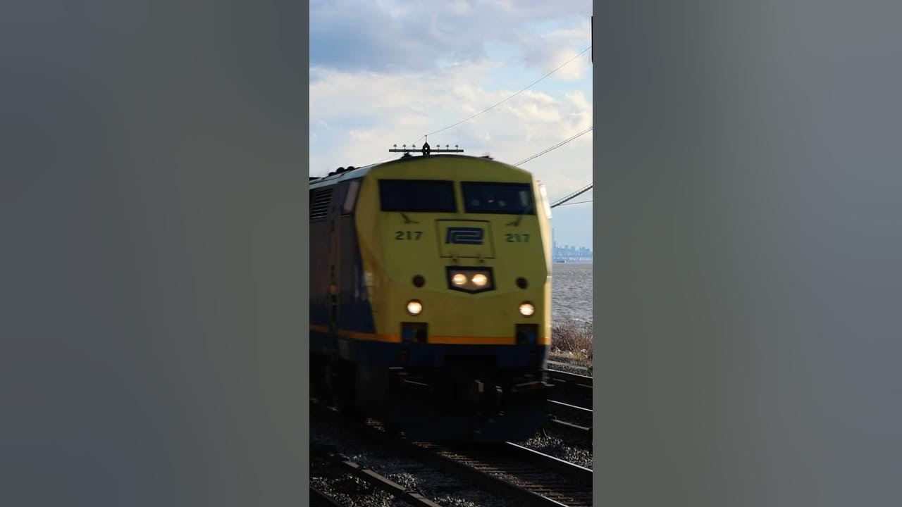 Metro-North Railroad Hudson line 8839 passes Ardsley-on-Hudson led by 217 #shorts #fyp - YouTube