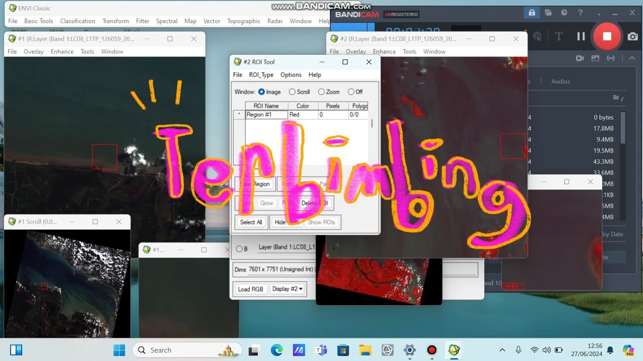 CITRA TERBIMBING MENGGUNAKAN ENVI CLASSIC - YouTube