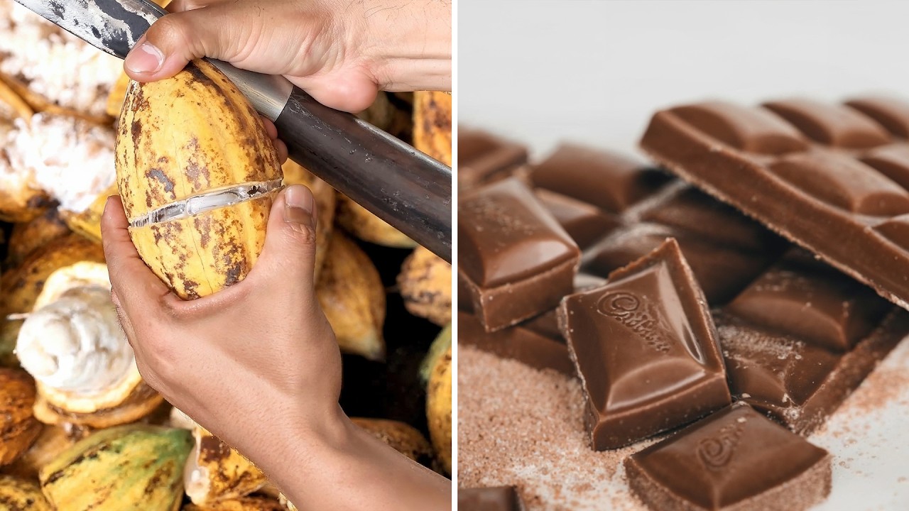 How Chocolate is Made: Step-by-Step from Bean to Bar! Chocolate Journey ...