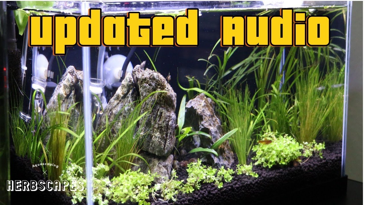 Easy Two Gallon Setup (Audio Fixed) - YouTube