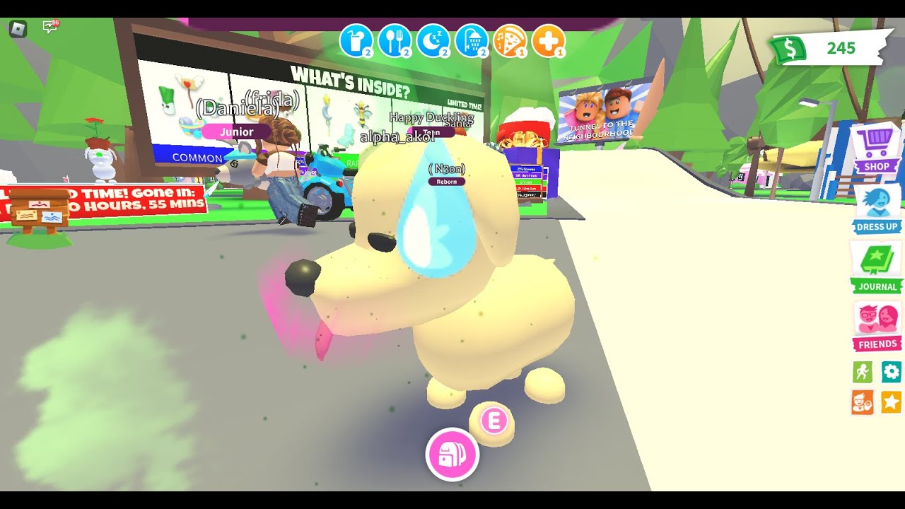 Angry Alex, but It's recreated in Adopt me - YouTube