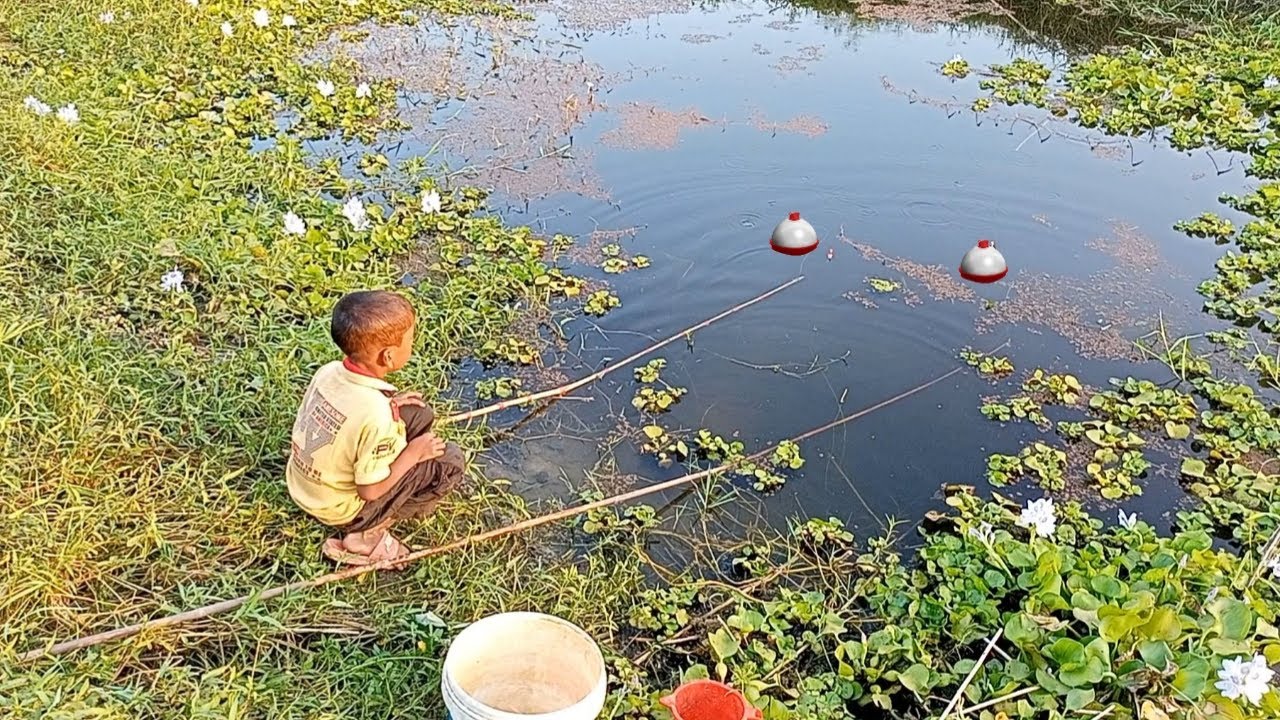 Amazing | Best Hook Fishing- bass fishing productions catfish fishing ...