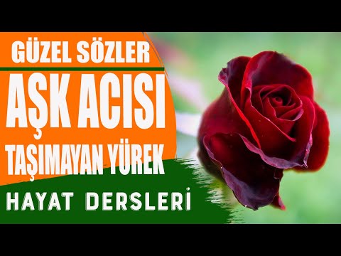 Aşk Acısı Taşımayan Yürek