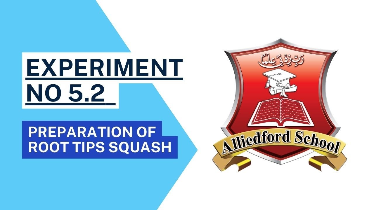 Mastering Root Tip Squash: A Step-by-Step Guide to Preparation - YouTube