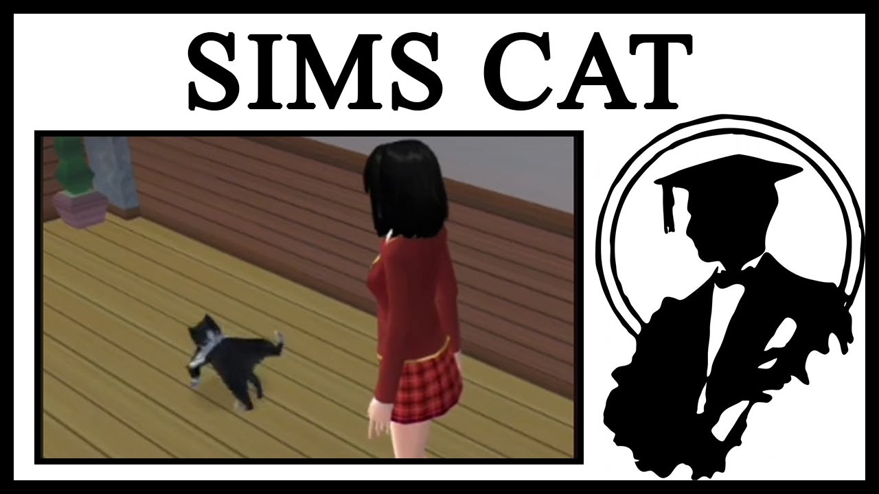 Where Is The Breakdancing Cat From? - YouTube