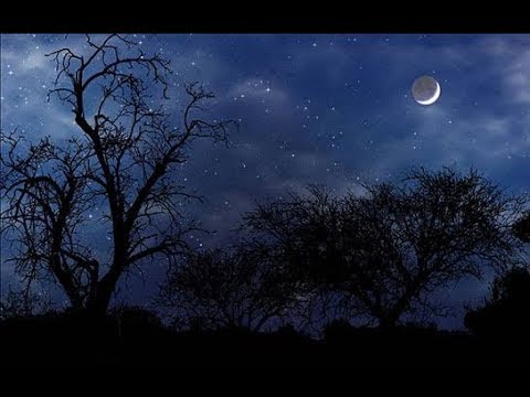O Gece Şiiri, Ecrinden O Gece Şiiri, Ecrin'den Şiirler, Şiir Dinle, Şiir Oku