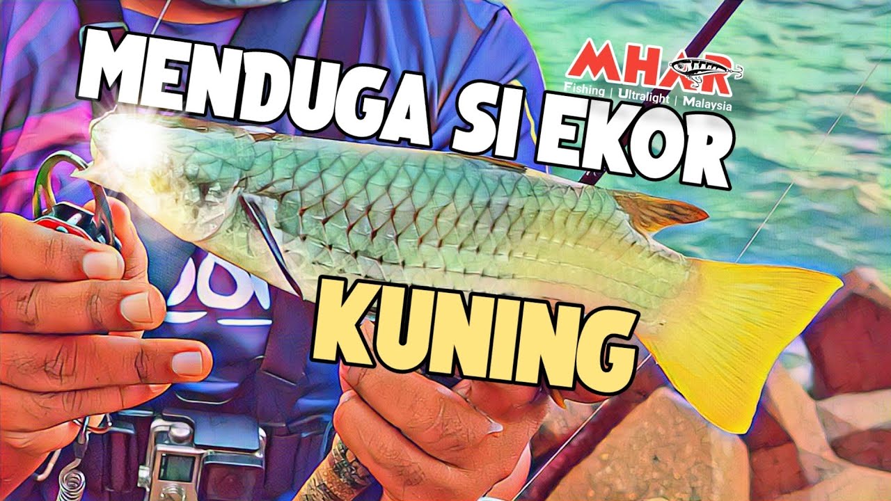 Ikan Tamok makan sebelum hujan Ultralight Rock Fishing | Vlog#7 - YouTube