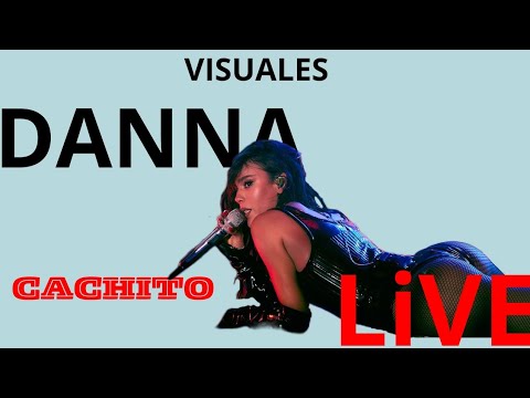VISUAL CACHITO DANNA LIVE - YouTube