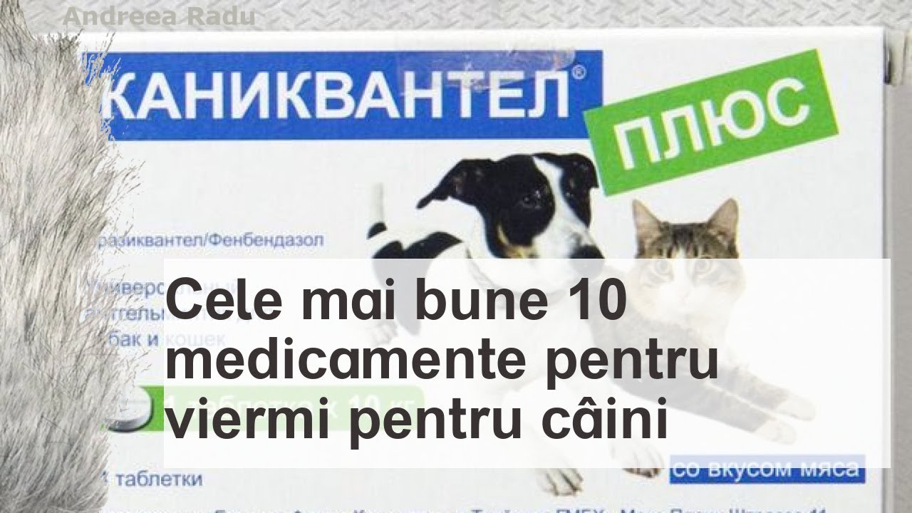 10 medicamente pentru viermi (antihelmintici) pentru câini: tablete ...