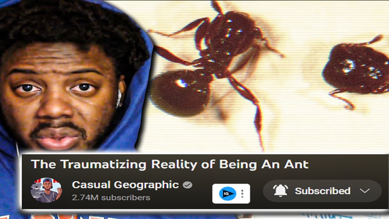 ANTS GOT IT HARD | The Traumatizing Reality of Being An Ant REACTION ...