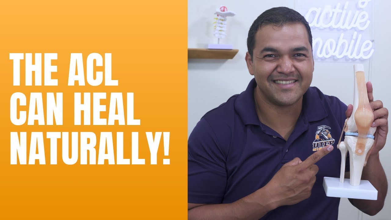 The ACL Blood Supply Is Just RIGHT For Healing - YouTube