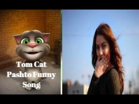 Qurban De Shama Za Balayd Yam Da Lawono Sara , Pashto Song, Singing Tom Cat