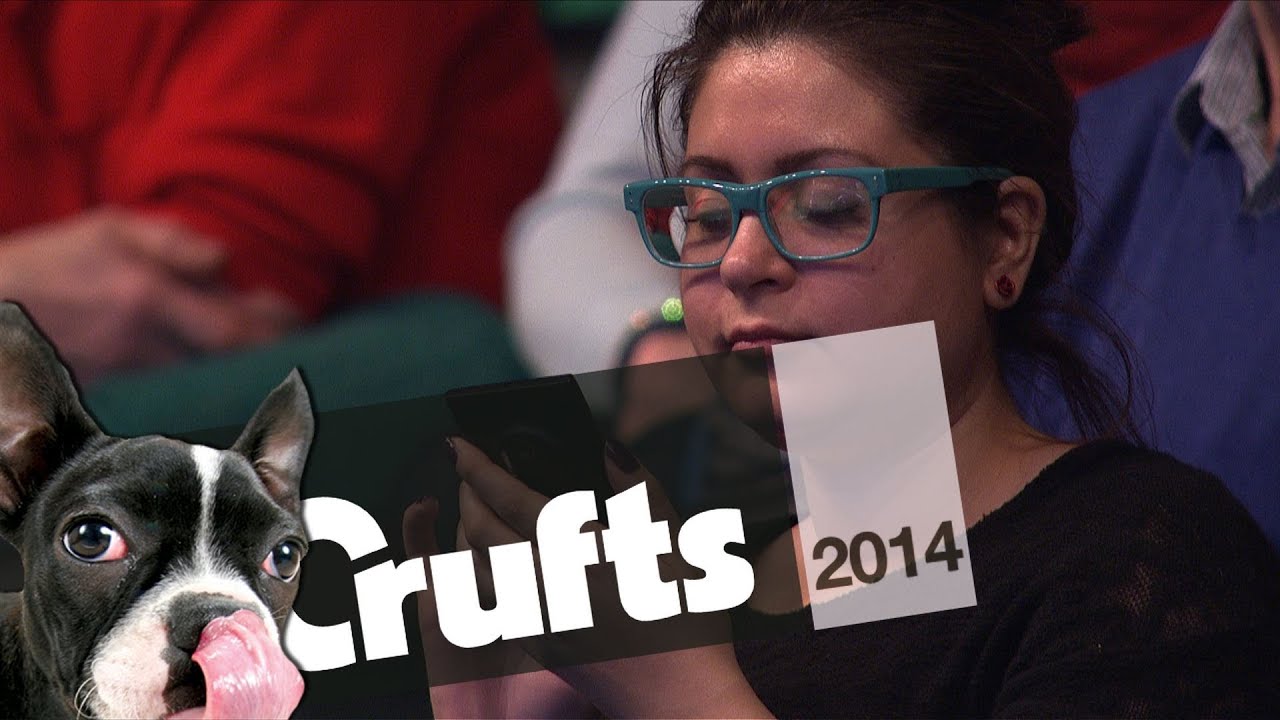 Crufts Crowd | On The Big Screen | Crufts 2014 - YouTube