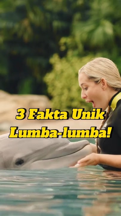 3 Fakta Unik Lumba-lumba! yang bikin takjup #shorts #lumbalumba #faktaunik #reels - YouTube