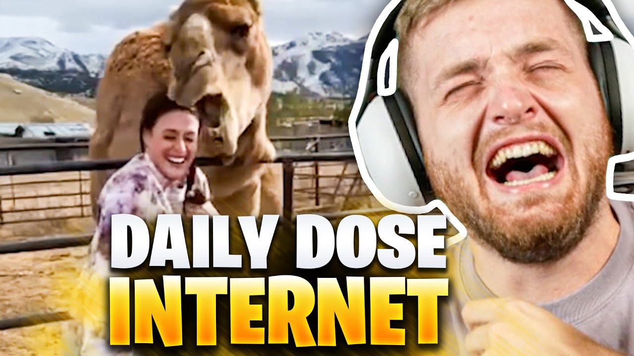 😂😍LEGENDÄRE CLIPS wieder bei DAILY dose of INTERNET! | Trymacs Stream ...