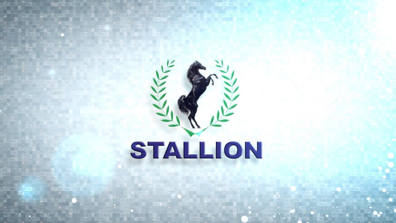 Stallion Group Corporate Film - YouTube