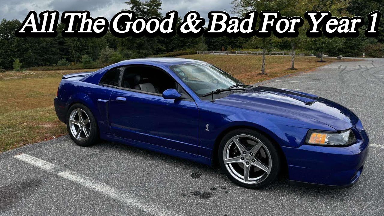 Review: First Year With My Sonic Blue Terminator Cobra - YouTube