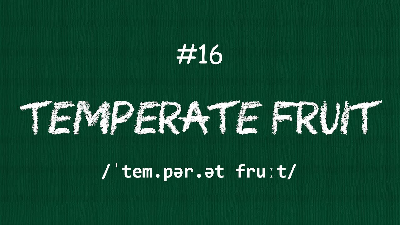 #16 English 10 Words a Day TEMPERATE FRUIT - YouTube