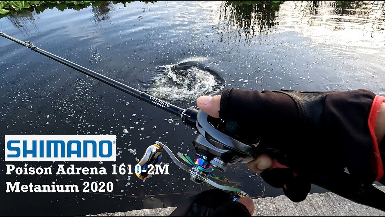 SHIMANO Poison Adrena and Metanium (JDM) 2020. Toman Fishing ...
