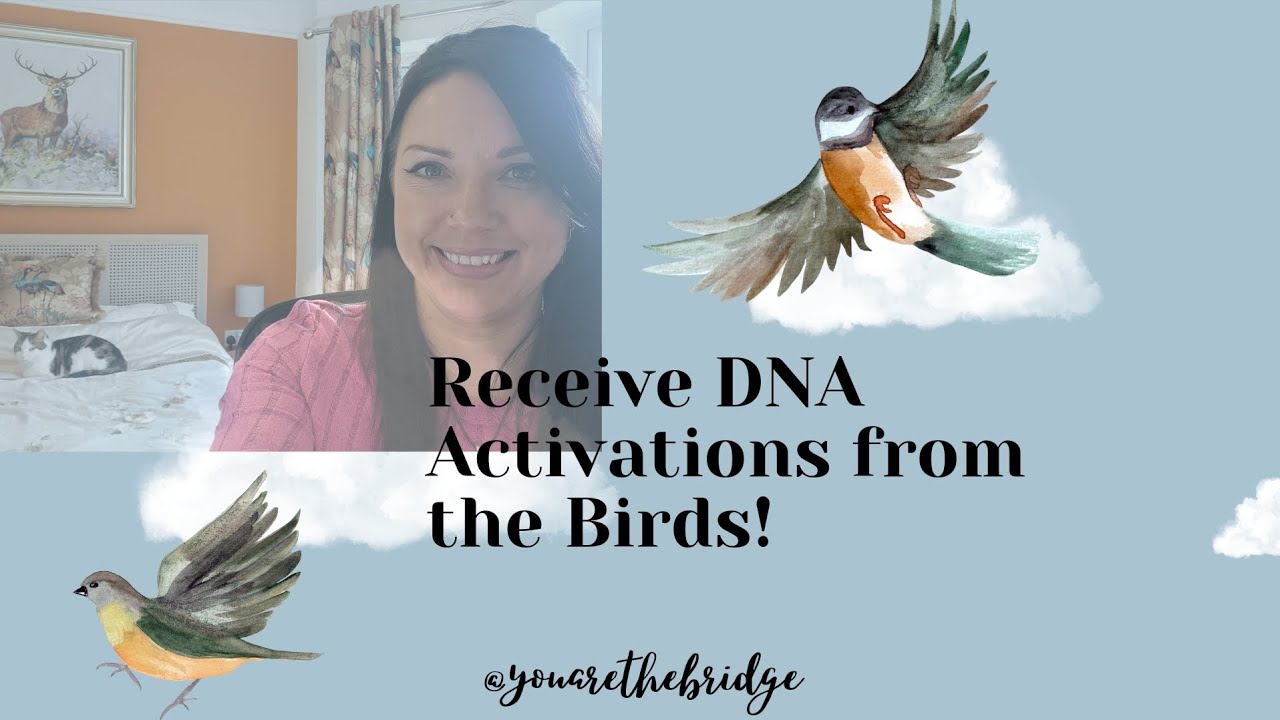 How the Dawn Chorus activates our DNA | The frequency of Birdsong 🐦 # ...