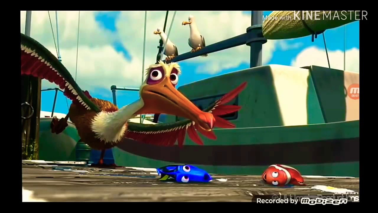 Finding nemo : gull chase with music - YouTube