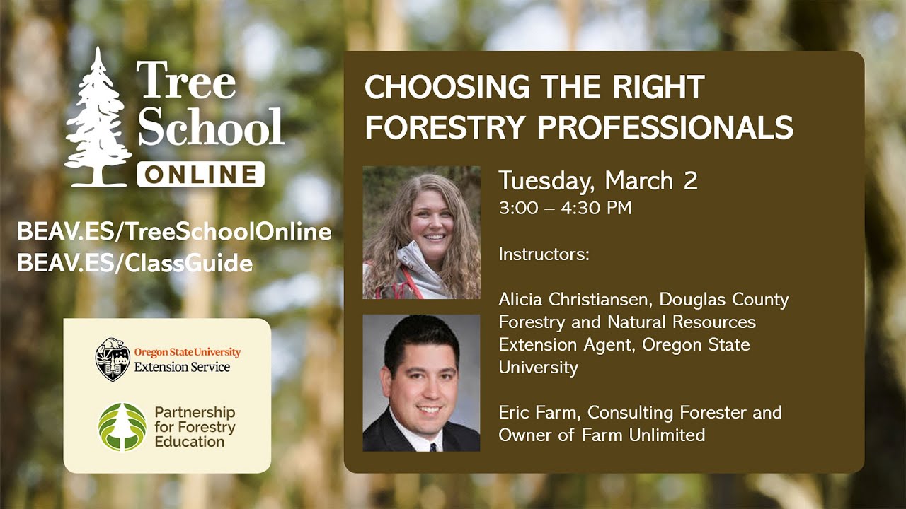 Tree School Online: Choosing the Right Forestry Professionals - YouTube
