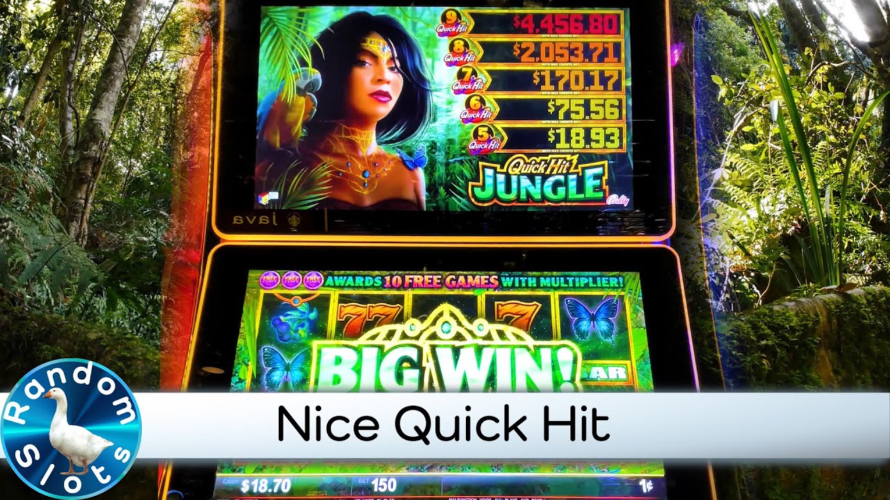 Quick Hit Jungle Slot Machine Nice Quick Hit - YouTube