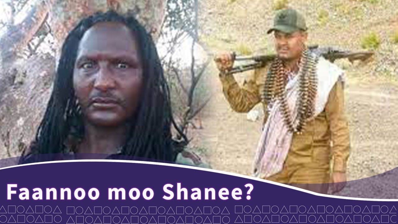 Faannoo moo Shanee? - YouTube