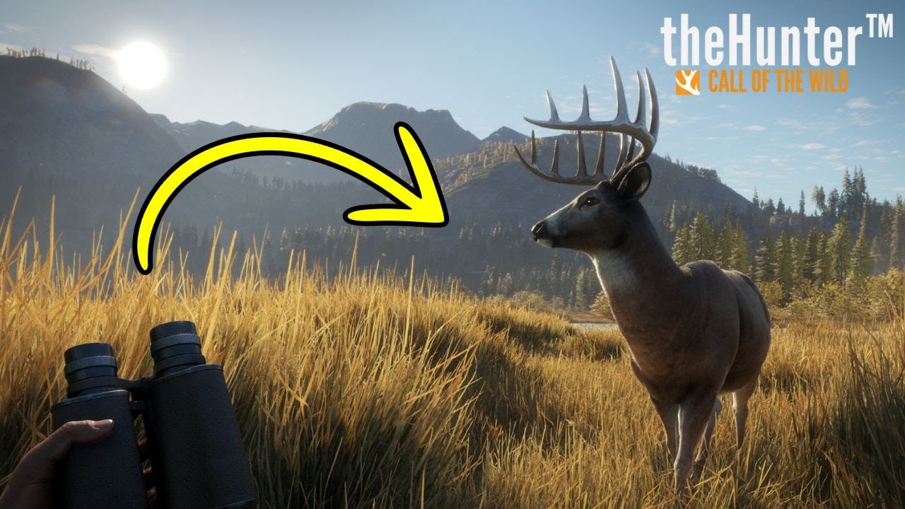 The Hunter COTW | Adventuring Into New England Mountains Reserve! - YouTube