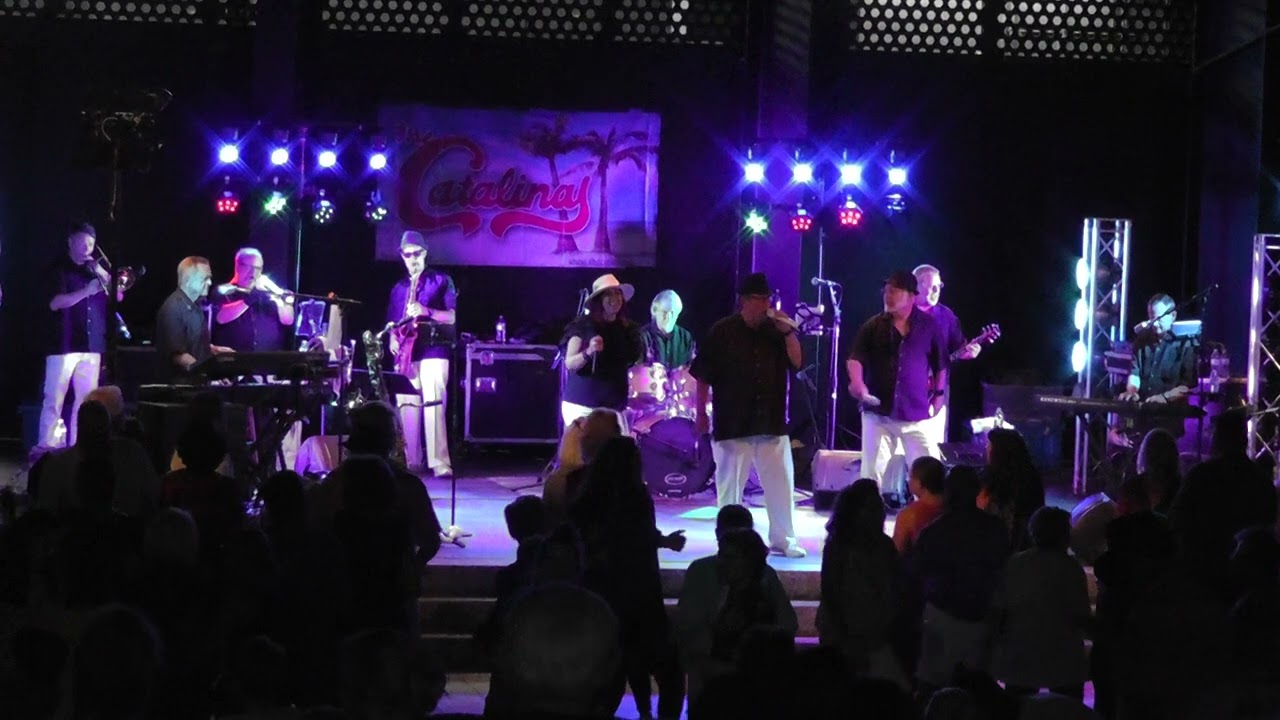 The Catalinas - LIVE - Sing a Song - YouTube