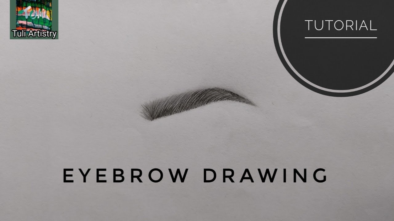 How To Draw Realistic Eyebrow|Step By Step Drawing Tutorial for ...