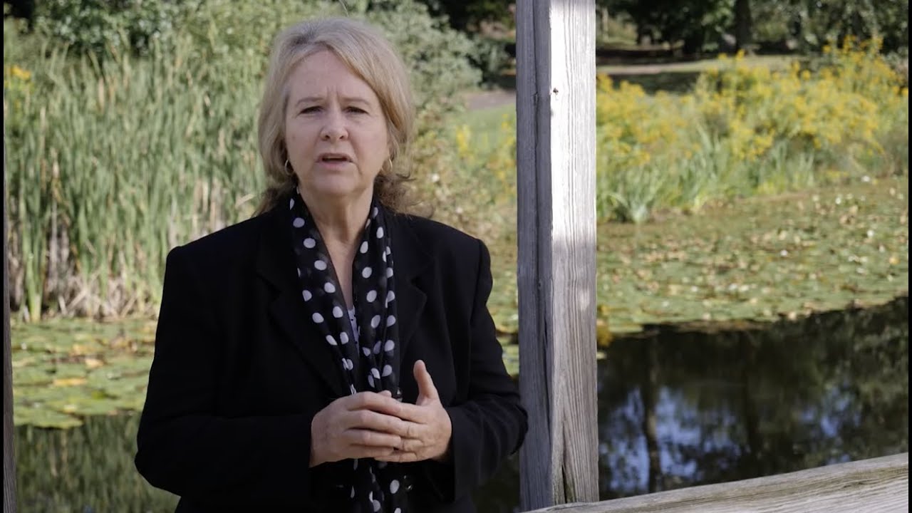 “Re-Plumbing” Roadside Ditches in the Finger Lakes Region: Dr. Rebecca ...