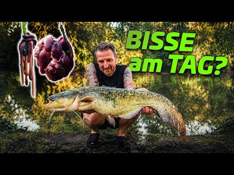 SOMMER am KLEINEN FLUSS | Stressfrei vom UFER