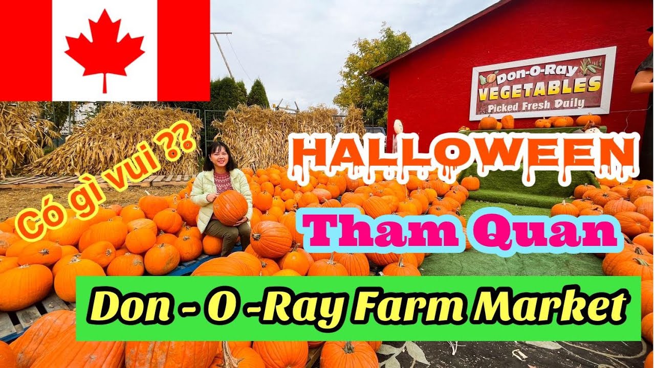 VLOG #1: THAM QUAN DON-O-RAY FARM MARKET, KELOWNA, BC DỊP LỄ HALLOWEEN ...