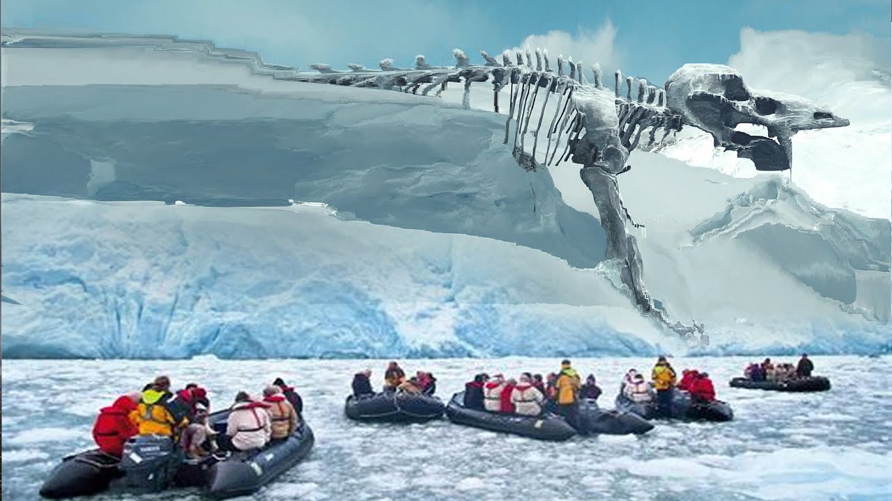 5 Mysterious Creatures Discovered in the Arctic and Antarctic. - YouTube