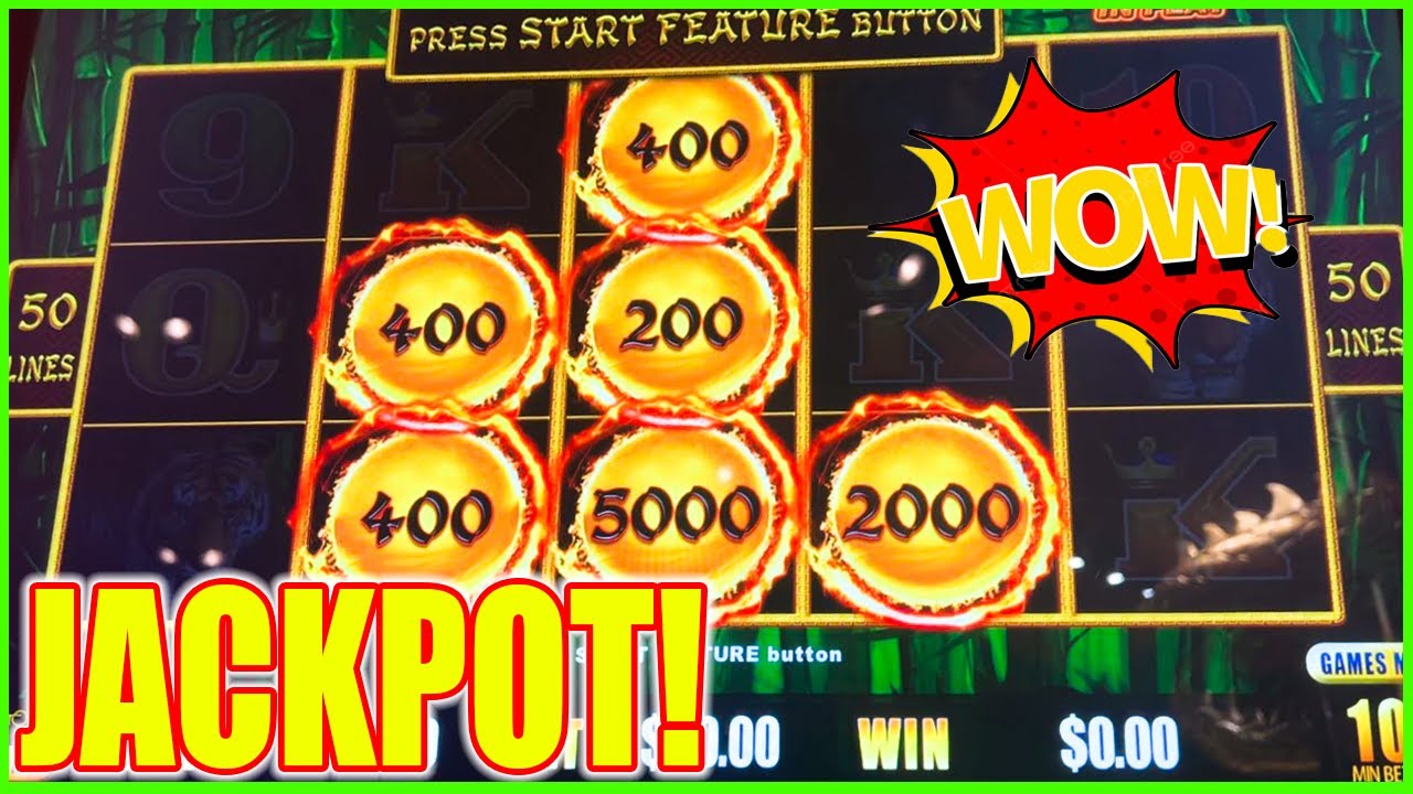 The Hold & Spin JACKPOT Bonus You Want! Panda Magic Dragon Link Slot ...