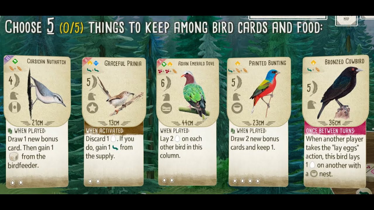 CKC Tourney Stage 1 Game 5 - When Bonus Cards Align - YouTube
