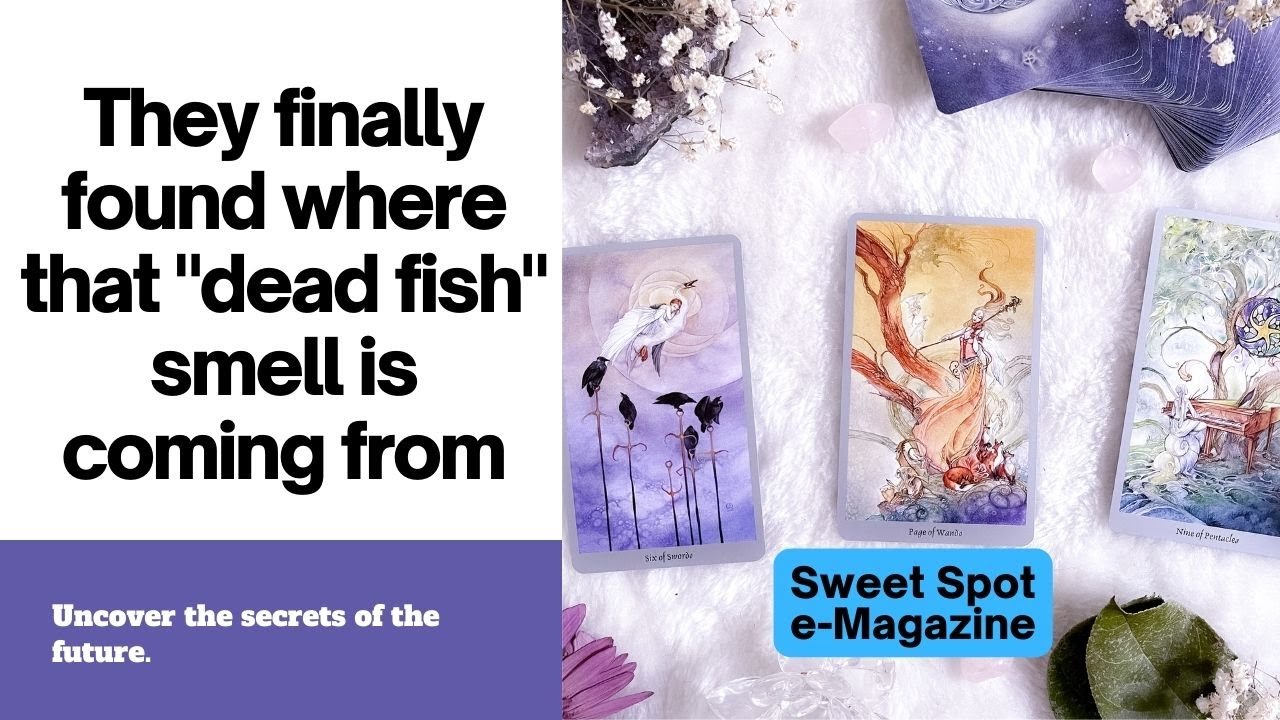 They finally found where that "dead fish" smell is coming from | Sweet ...