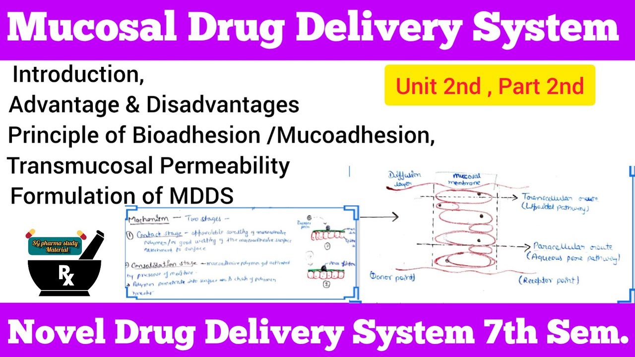 Mucosal Drug Delivery System (Complete) | Principle of Bioadhesion ...