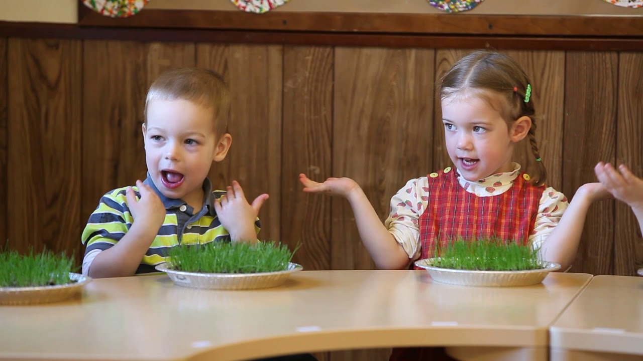 A Little Seed Song - YouTube