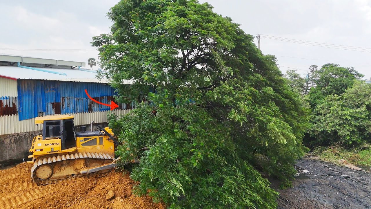Greatest Operator Finishing Road Connecting To Another Land Side, Dozer ...