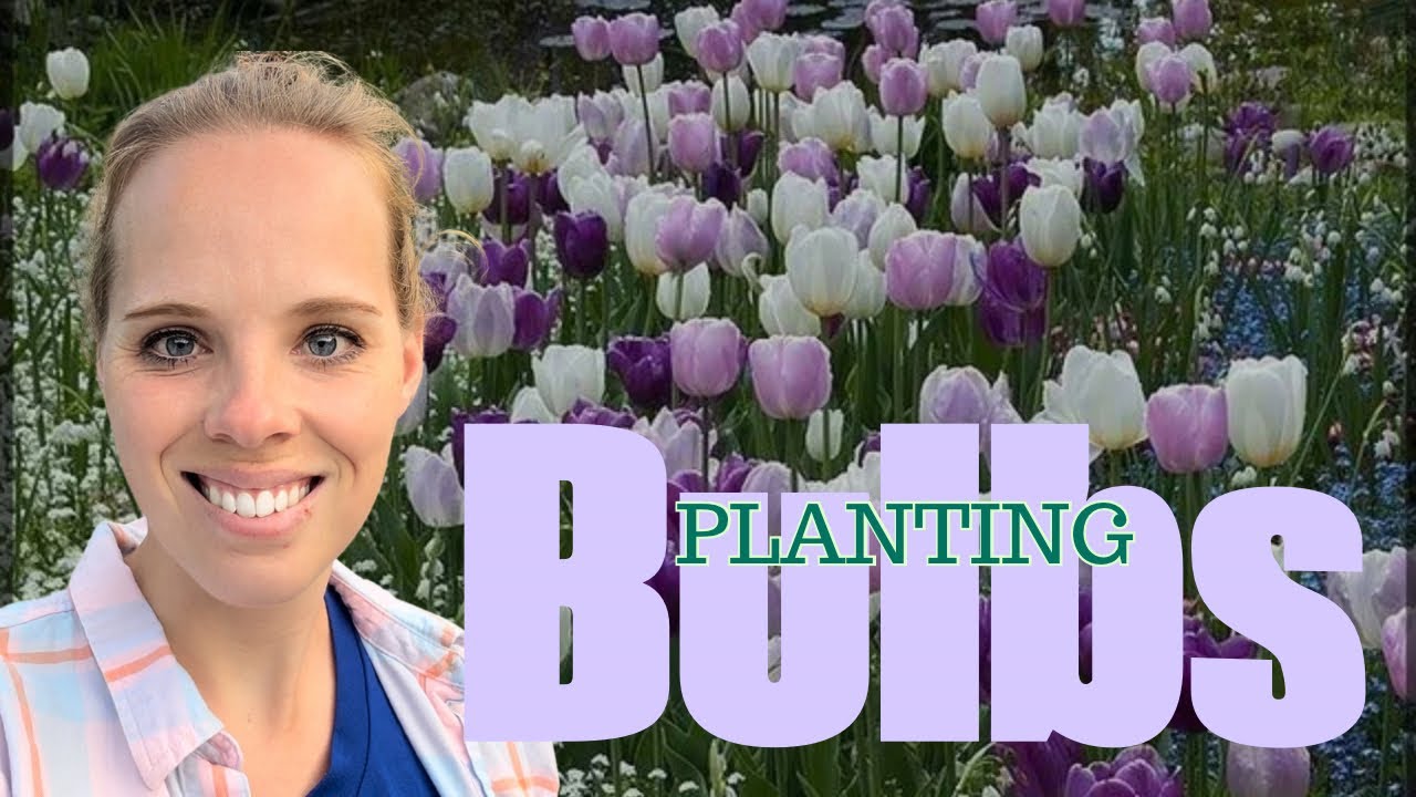 Prepping For Spring Interest: Planting Tulips and Daffodils | Simply ...