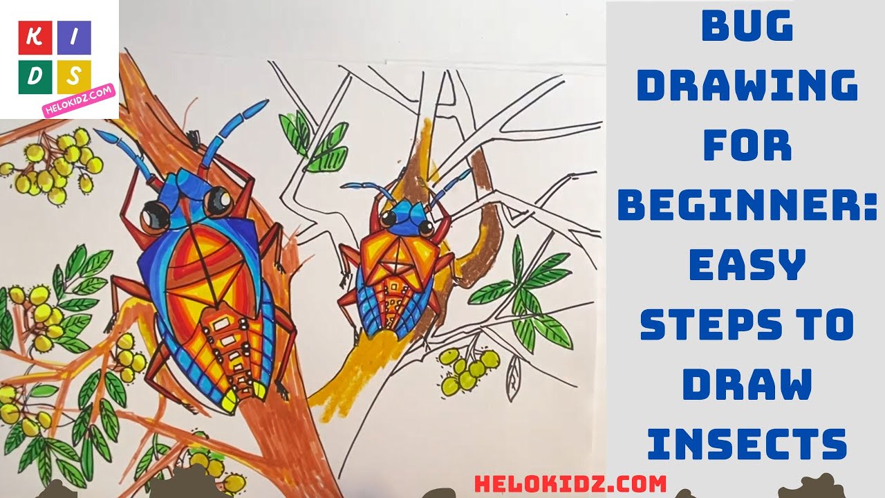 Bug Drawing for Beginners: Easy Steps to Draw Insects| Helokidz.com ...