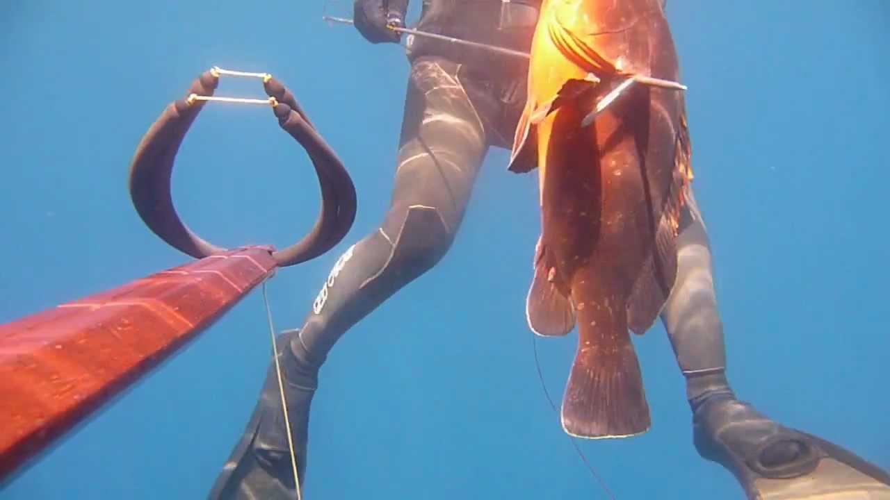 Pesca Submarina - Mero del 12-05-2012.mp4 - YouTube