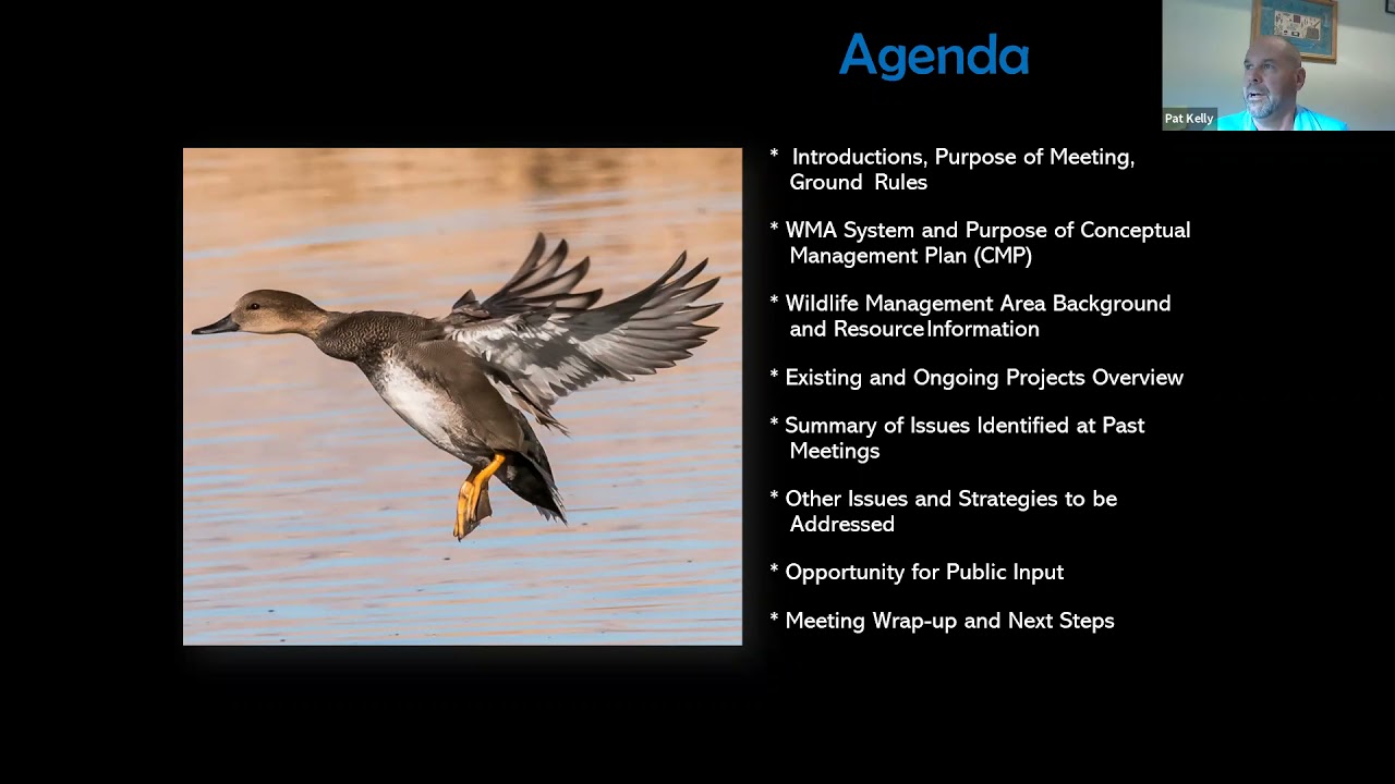 Carson Lake Wildlife Management Area Conceptual Management Plan Public ...