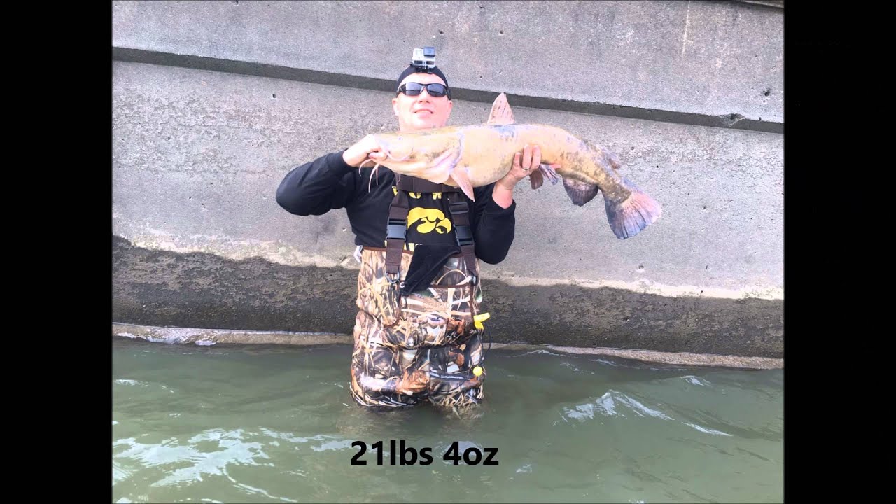 Late Winter/Early Spring Iowa Flathead Catfish 2016 - YouTube