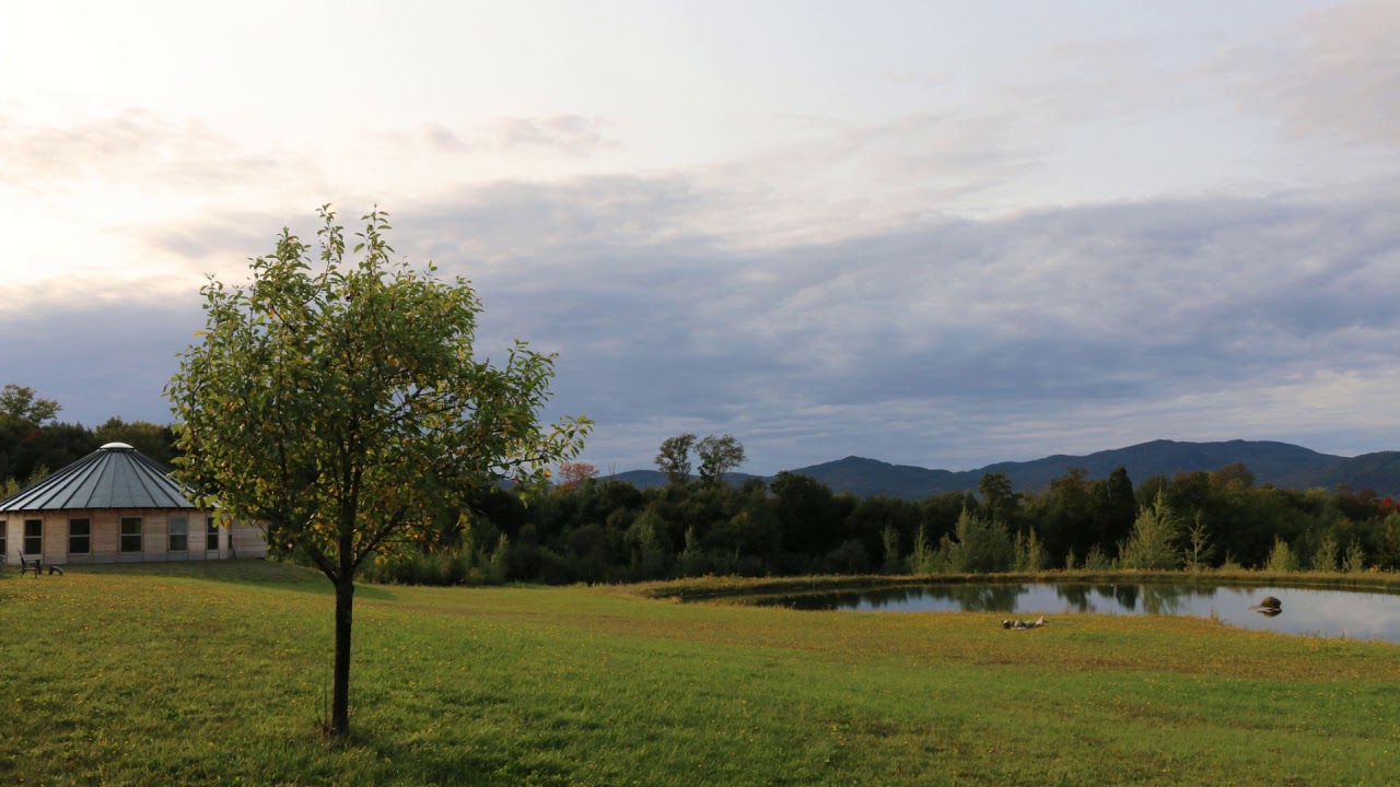 Perception Feeds Behavior Feeds Perception - Soryu Forall - YouTube