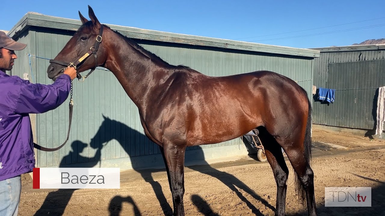 Baeza's Connections Discuss his Workout with Zoe Cadman - YouTube